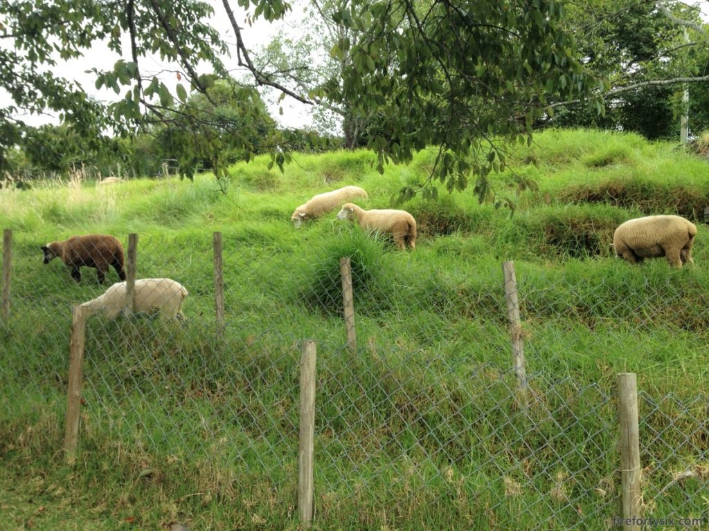 Three days in the mountains of Cingjing