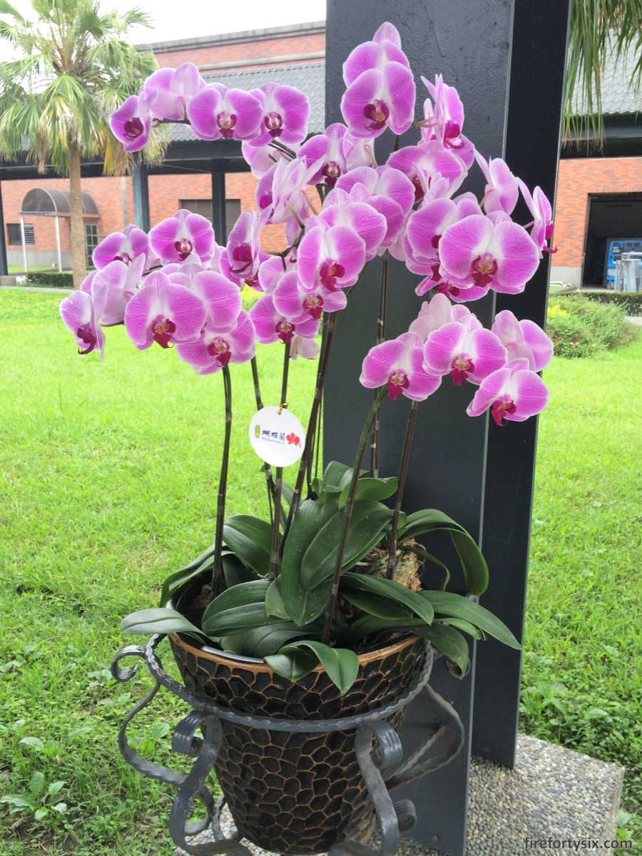 Visiting the Kavalan distillery in Yilan