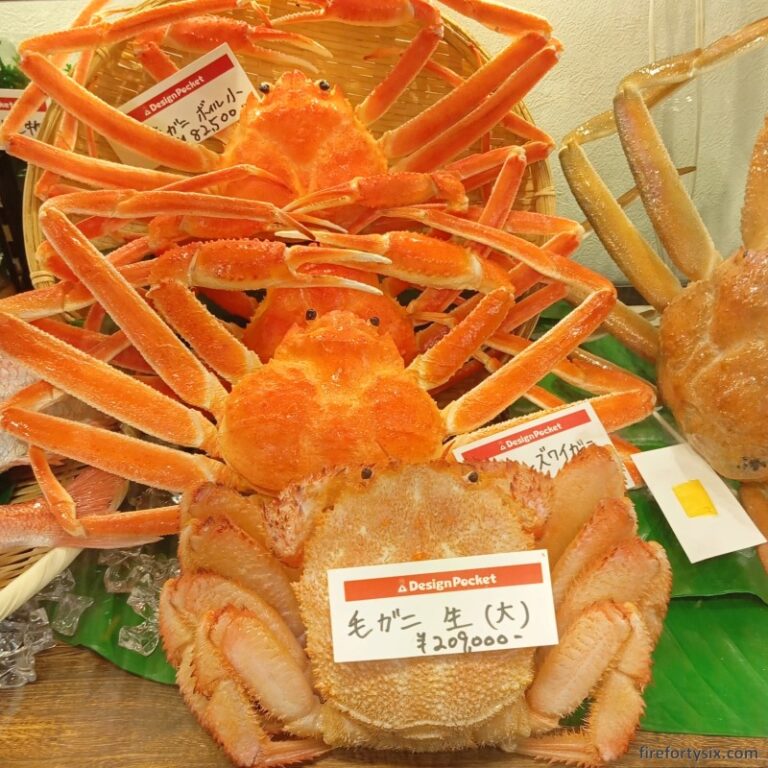 Design Pocket Osaka makes amazingly lifelike food samples